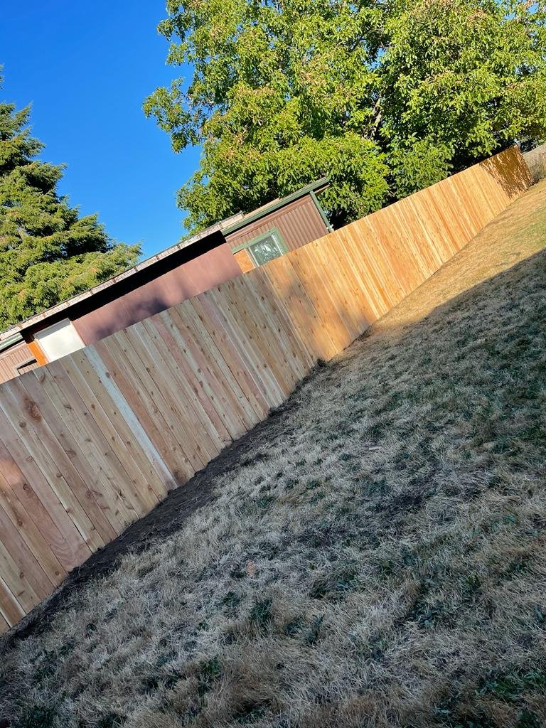 Gallery – Saenz Yard Services