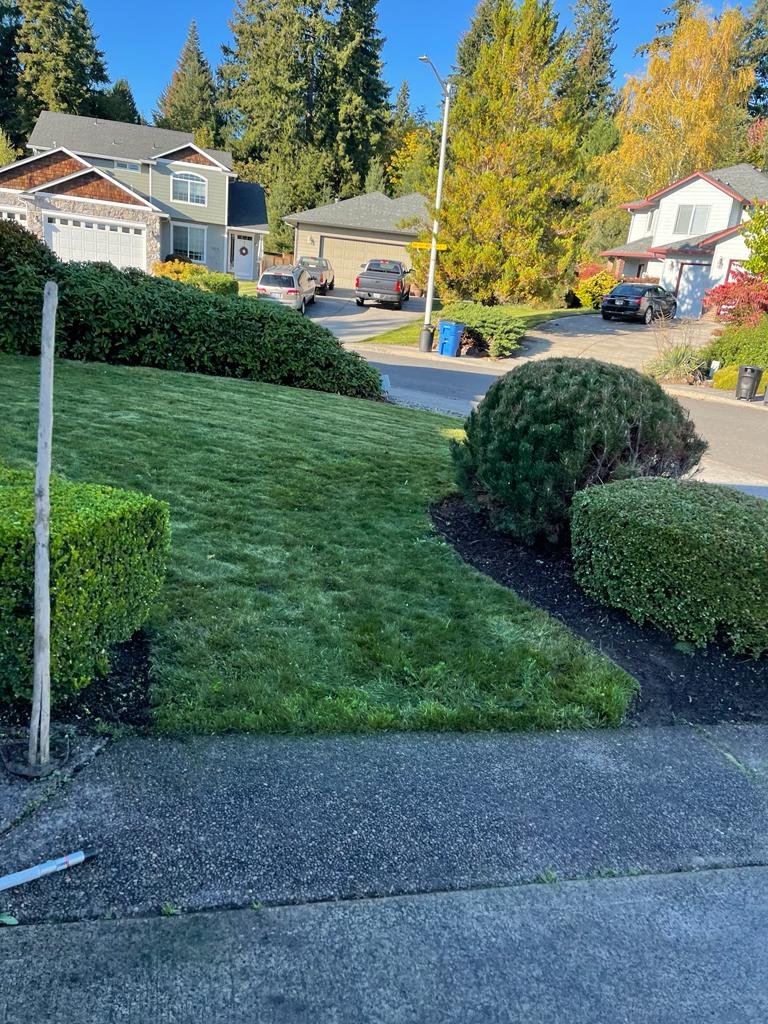 Gallery – Saenz Yard Services