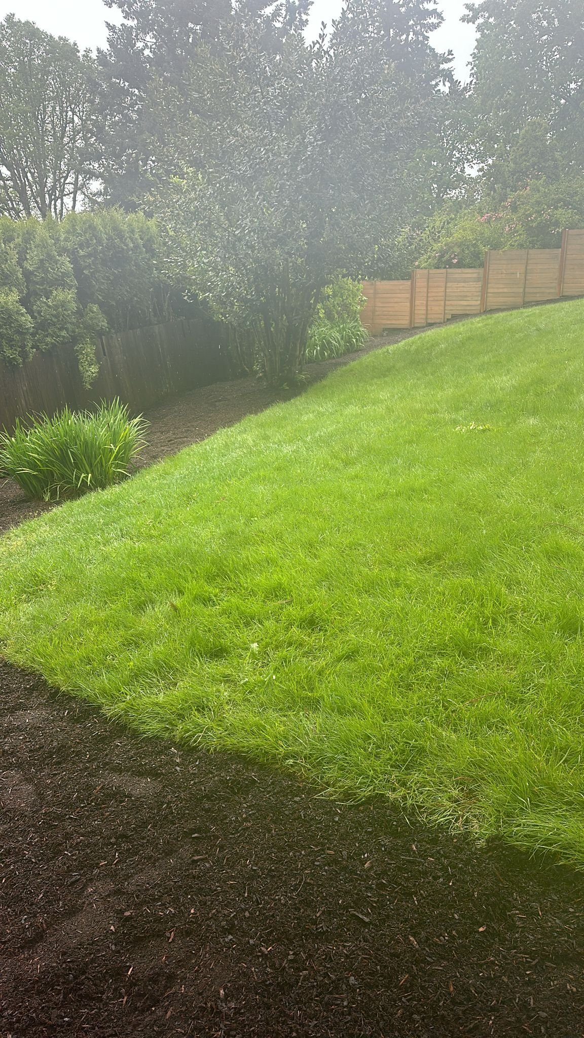 Gallery – Saenz Yard Service