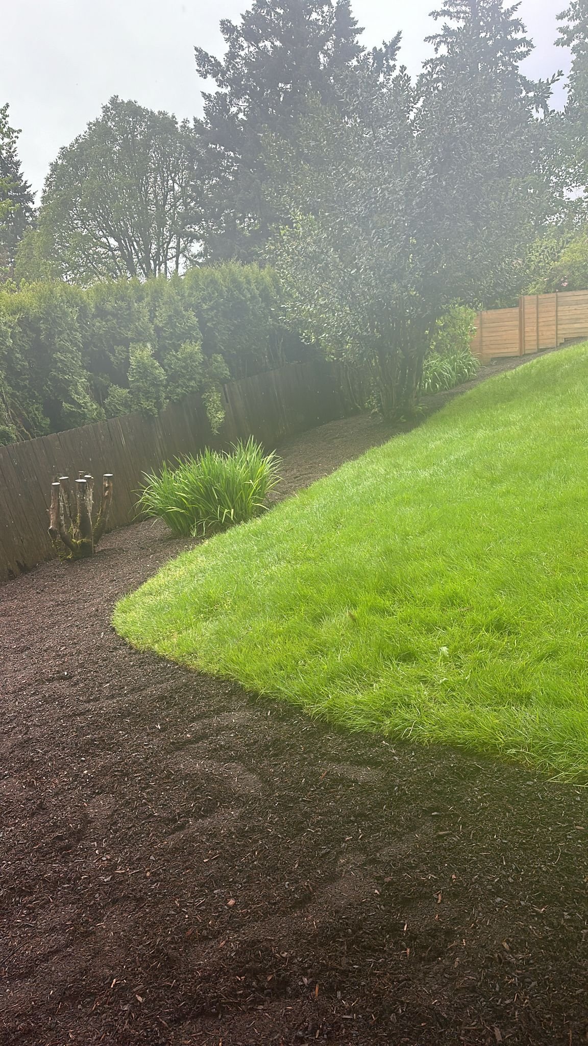 Gallery - Saenz Yard Service